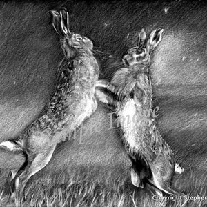 The Ruck B&W Hare Rabbit Wildlife Countryside LARGE Art Print of ...