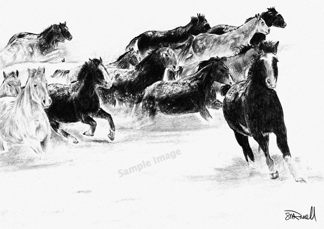 Wild Horses Horse LARGE A4 A3 or A2 Limited Edition Print of Original ...