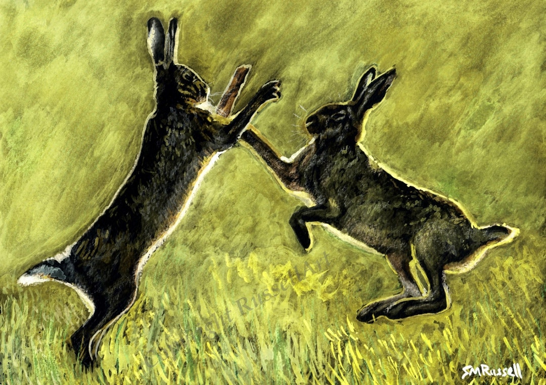 Boxing Hares Wildlife LARGE A4 A3 or A2 Sized Limited - Etsy