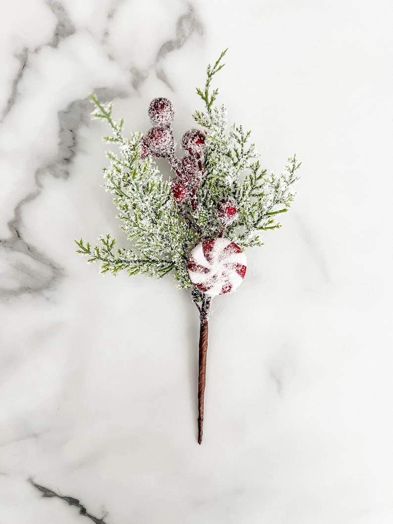 Peppermint Greenery Sprigs - Set of 5 - Etsy