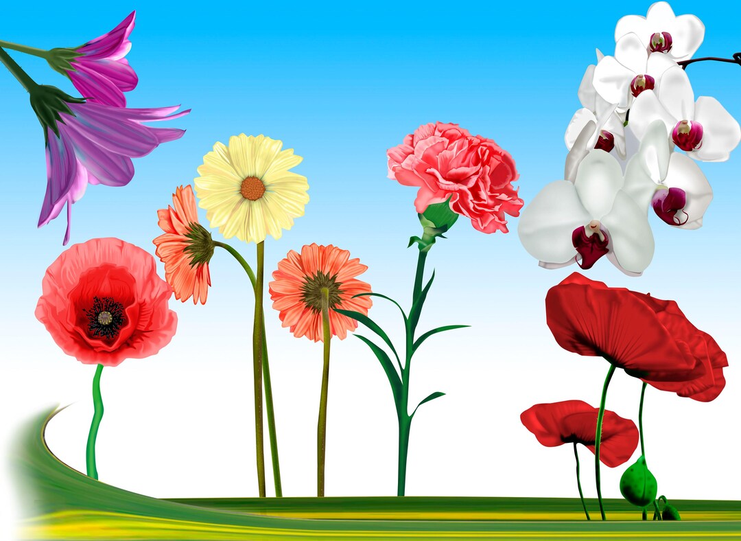 High-resolution Digital Illustration of Flowers in .psd Format With ...