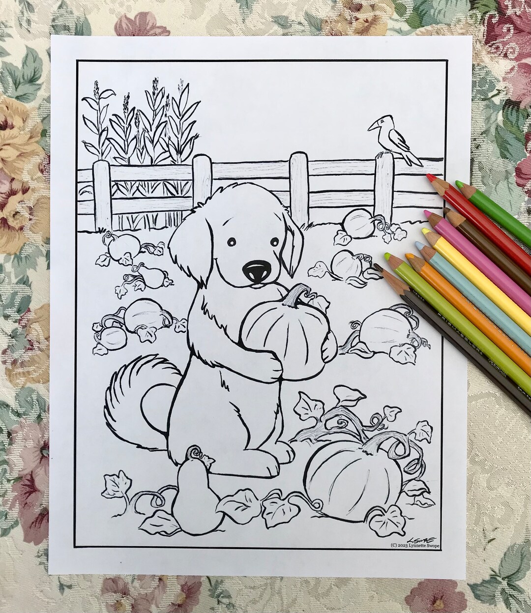 Printable Coloring Page—cody Picks A Pumpkin, a Hand Drawn, Artist Made ...