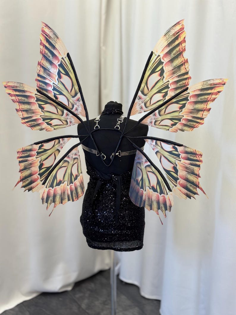 Adult Swallowtail Fairy Wings, Transparent Butterfly Cosplay Accessory ...