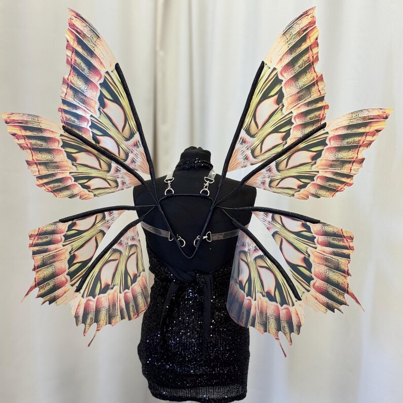 Adult Swallowtail Fairy Wings, Transparent Butterfly Cosplay Accessory ...