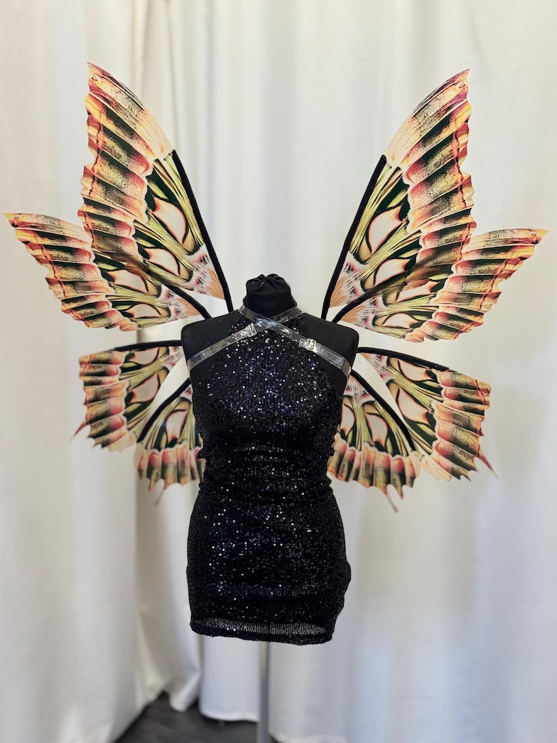 Adult Swallowtail Fairy Wings, Transparent Butterfly Cosplay Accessory ...