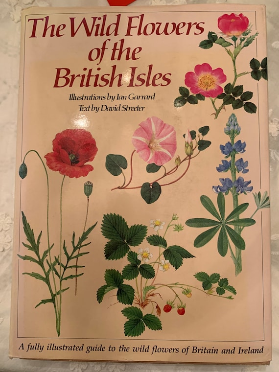 The Wild Flowers of the British Isles - Etsy
