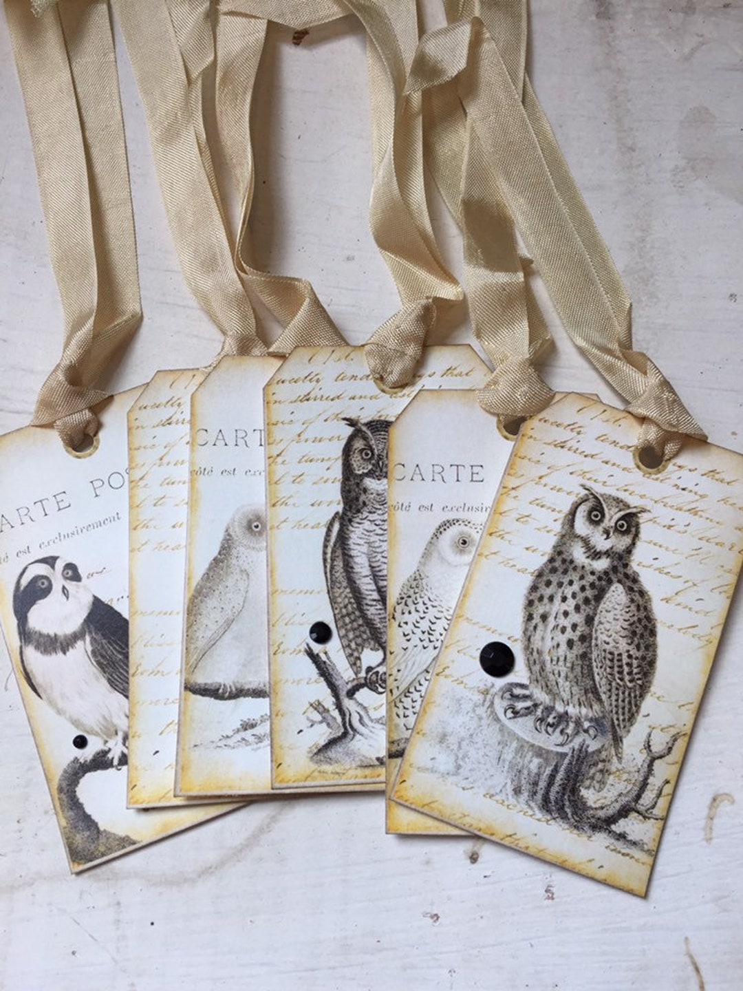 French Owl Gift Tags: Vintage Style, Hand Cut (set of 6) - Etsy