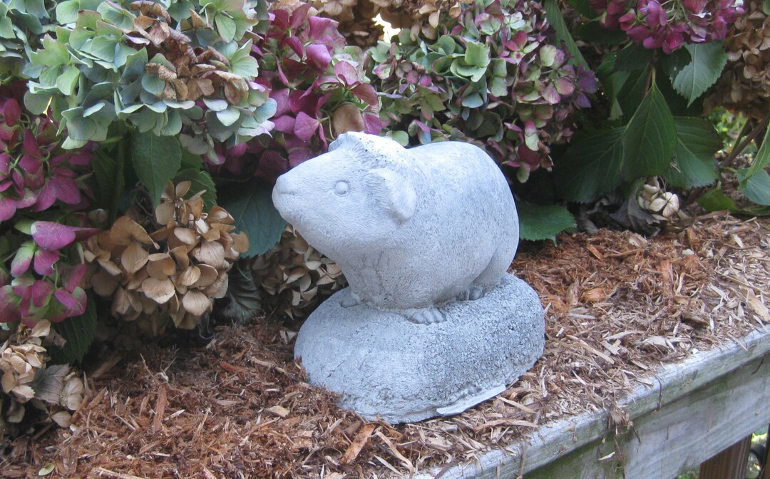 Guinea Pig Statue - Etsy