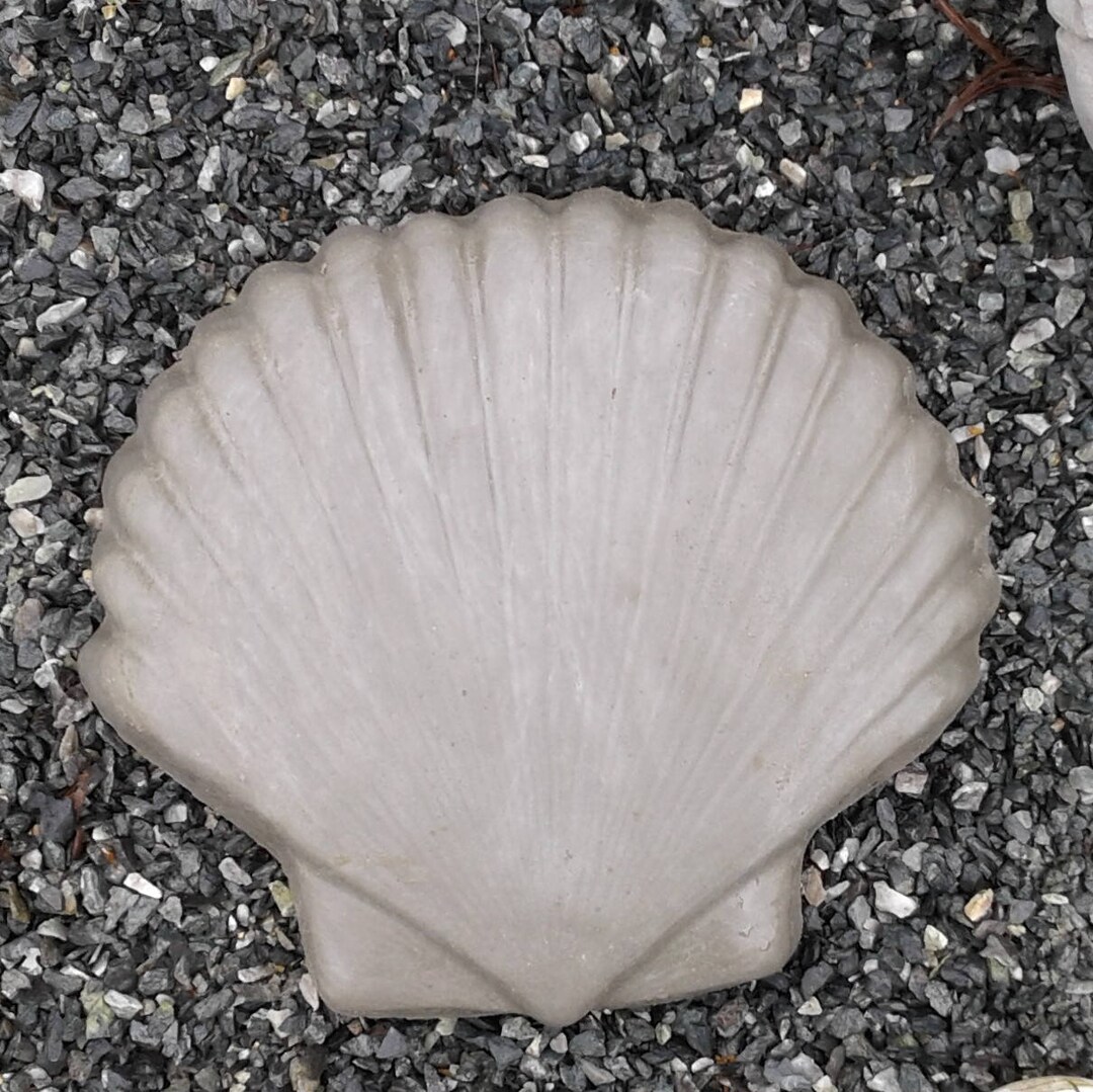 Scallop Shell Stepping Stone - Etsy