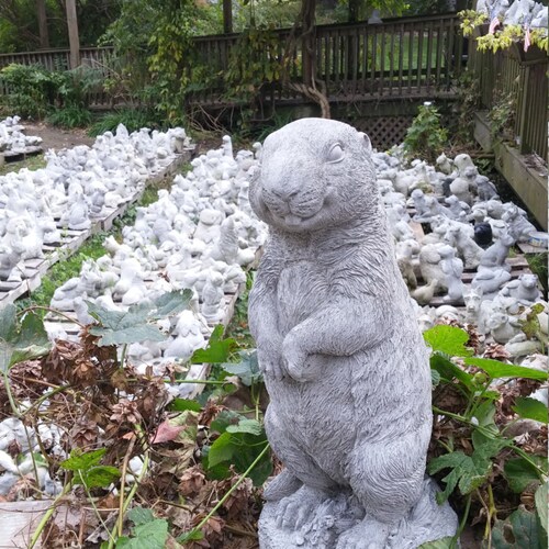 Groundhog Statue for the Garden or Home Cute Groundhog Day - Etsy