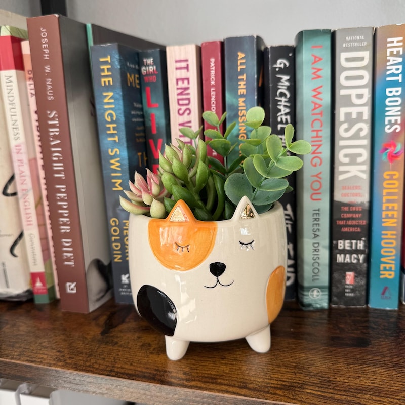 Ceramic Cat Planter - Etsy