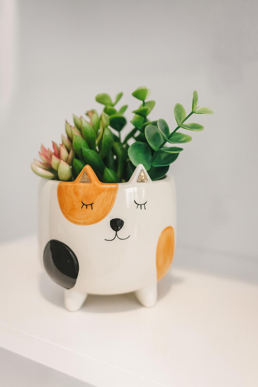 Cat Planter | Calico Ceramic Planter Pot | Gift for Cat Lovers | Cat ...