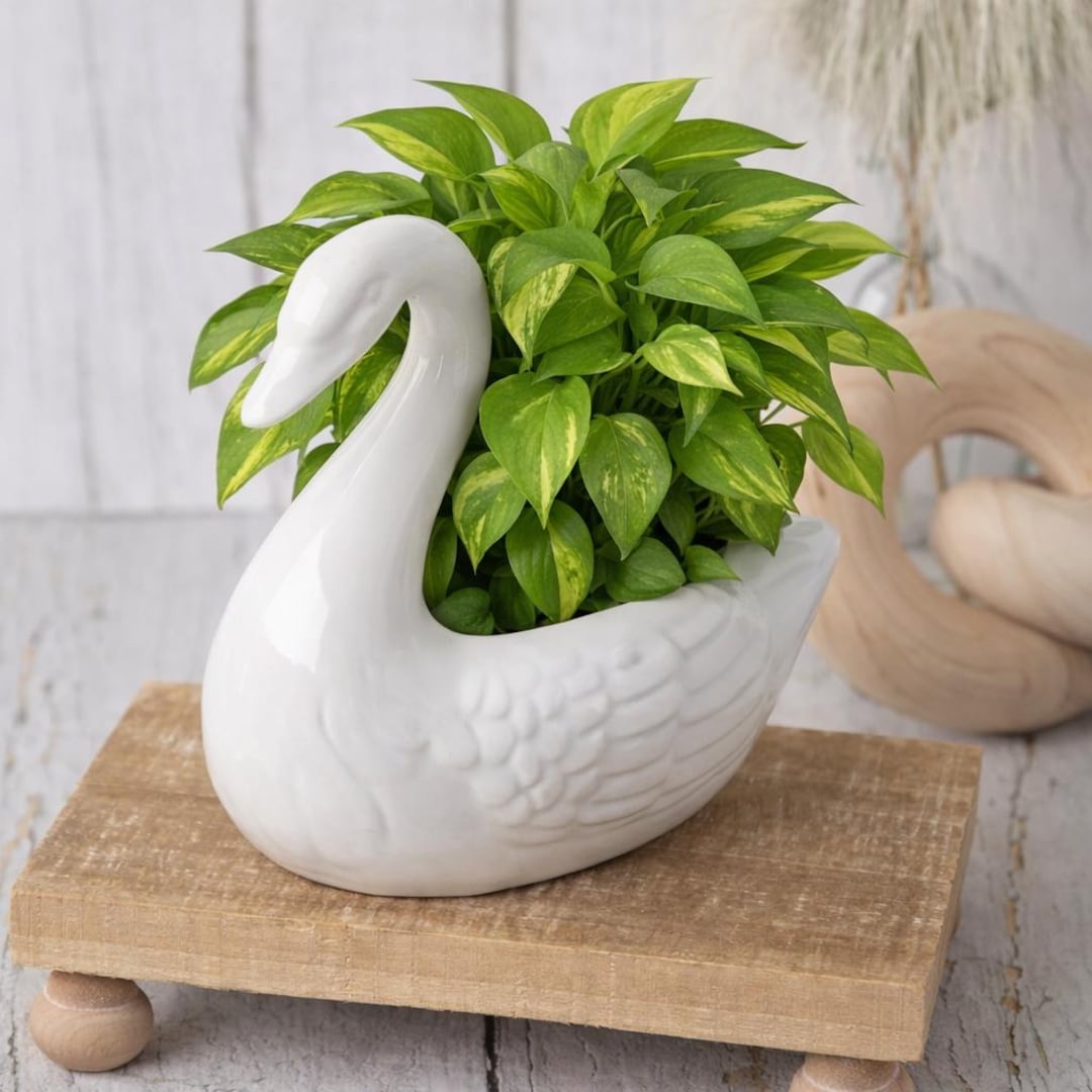 White Swan Planter | Ceramic Swan Vase | Bird Planter | Cottagecore ...