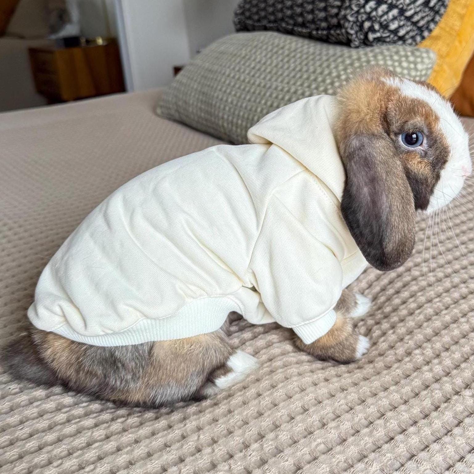 Bunny Clothes: Rabbit Cotton Hoodie & Cozy Hooded Sweatshirt Pet ...
