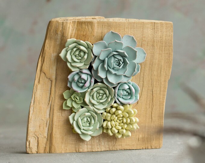 Unique Succulent Decor - Etsy