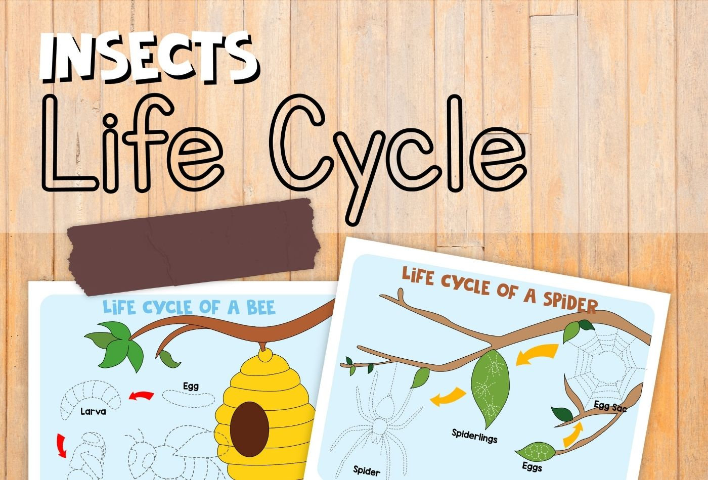 Insect Life Cycle Playdough Mats - Etsy