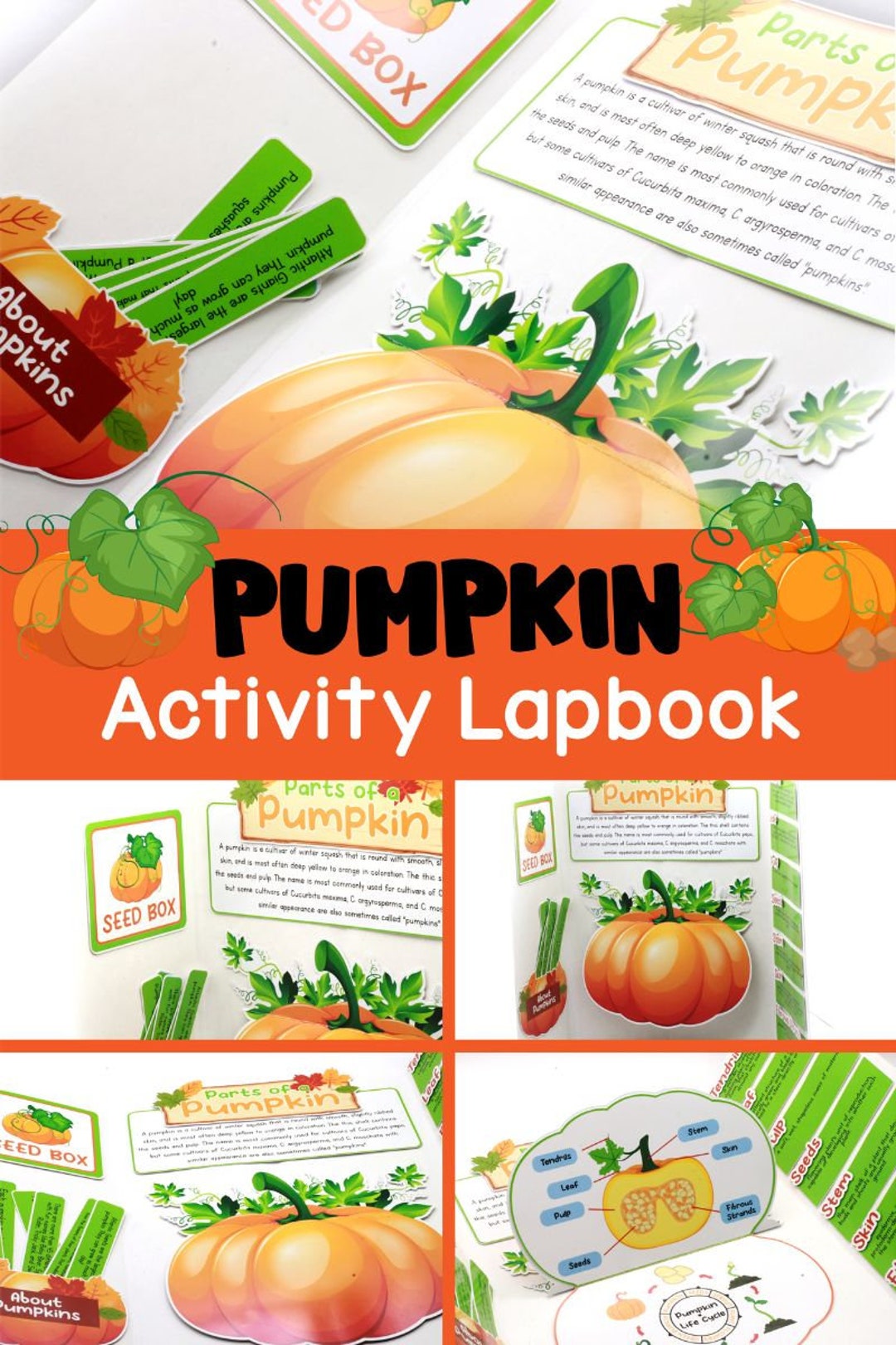 Pumpkin Activity Lap Book Printable - Etsy