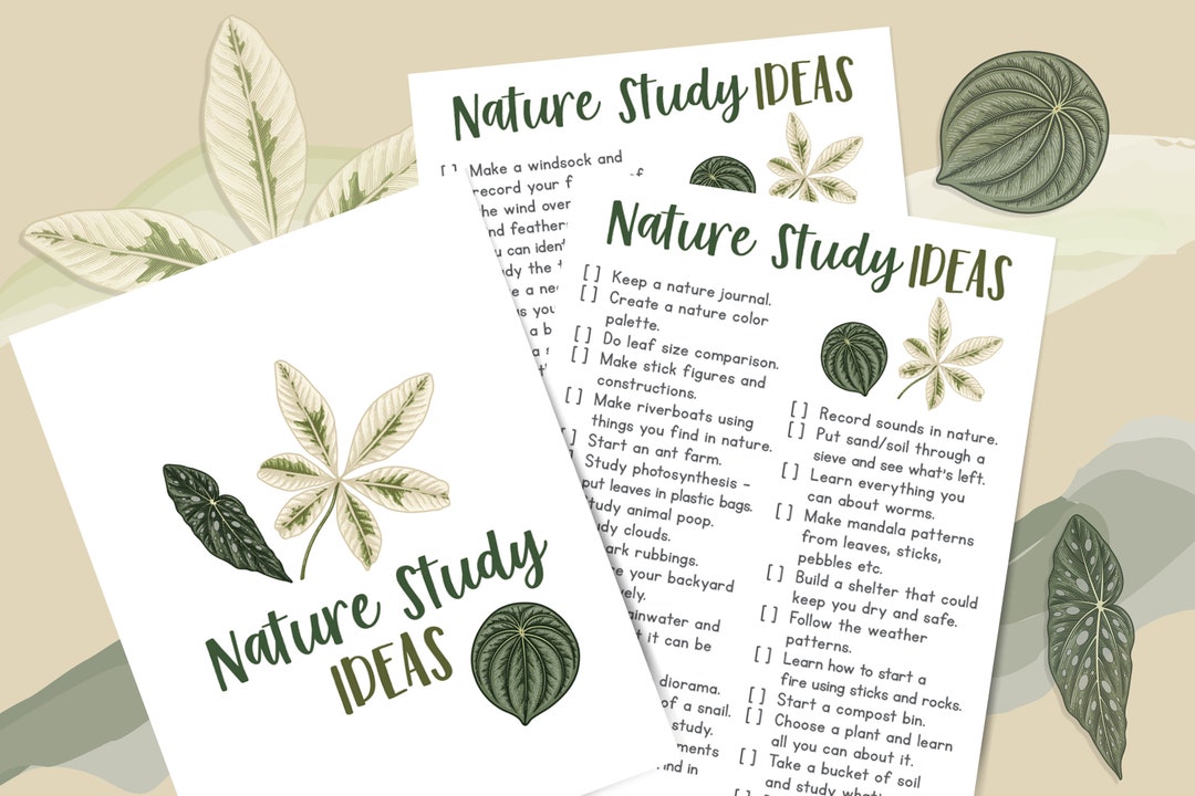Nature Study Ideas Printable - Etsy
