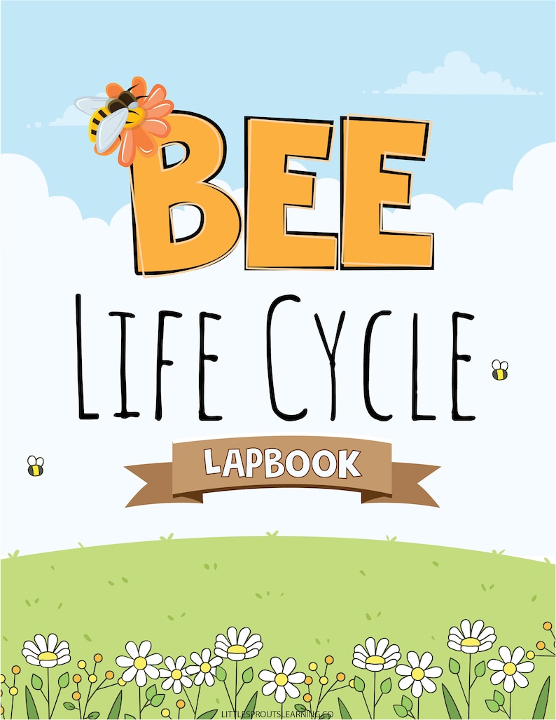 Bee Life Cycle Lap Book Printable - Etsy