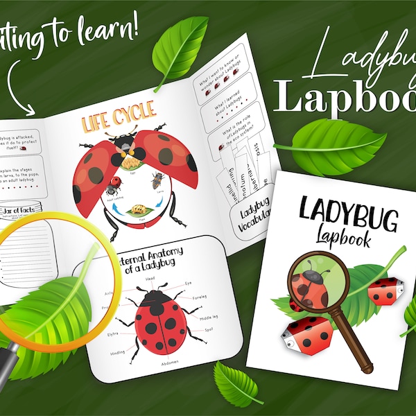 LittleSproutsLearn - Etsy