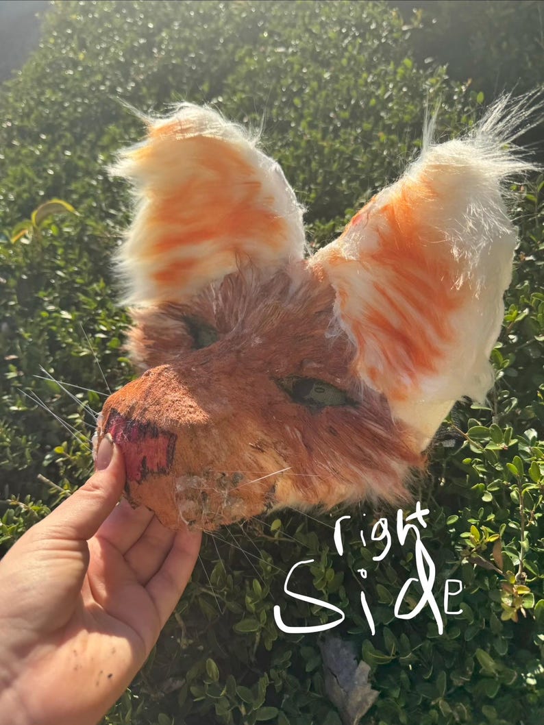 Ginger Kitty Mainecoon Therian Mask! - Etsy