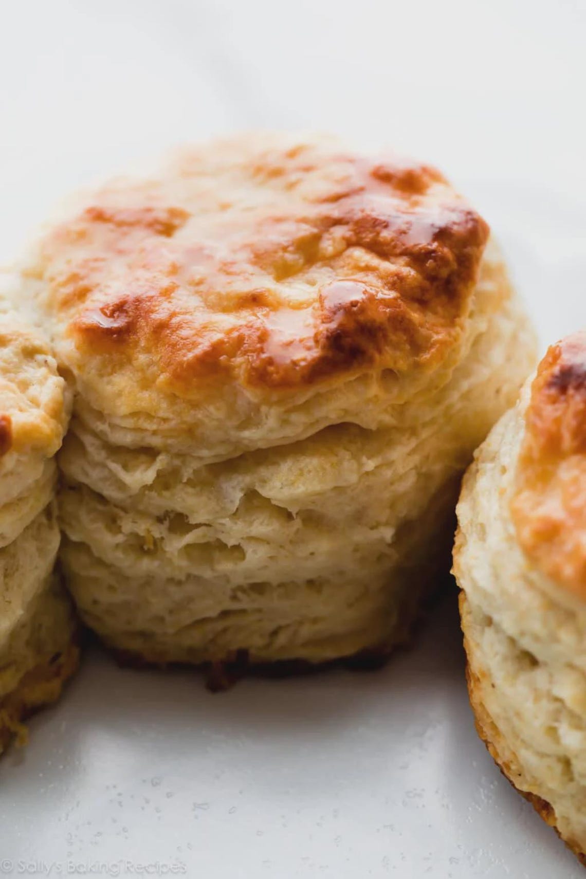 Homemade Biscuits Recipe PDF | Fluffy Buttermilk Biscuits | Easy From ...
