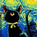 Luna Starry Night Paint by Number Kit, DIY Painting Kit, Painting on ...