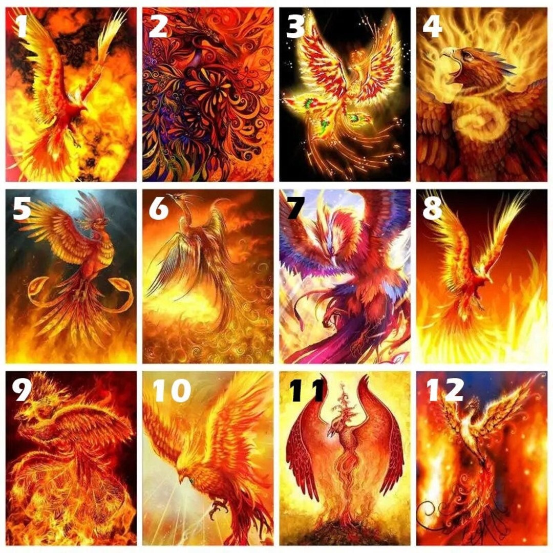 Phoenix Bird Paint by Number Kit, DIY Painting Kit, Painting on Canvas ...