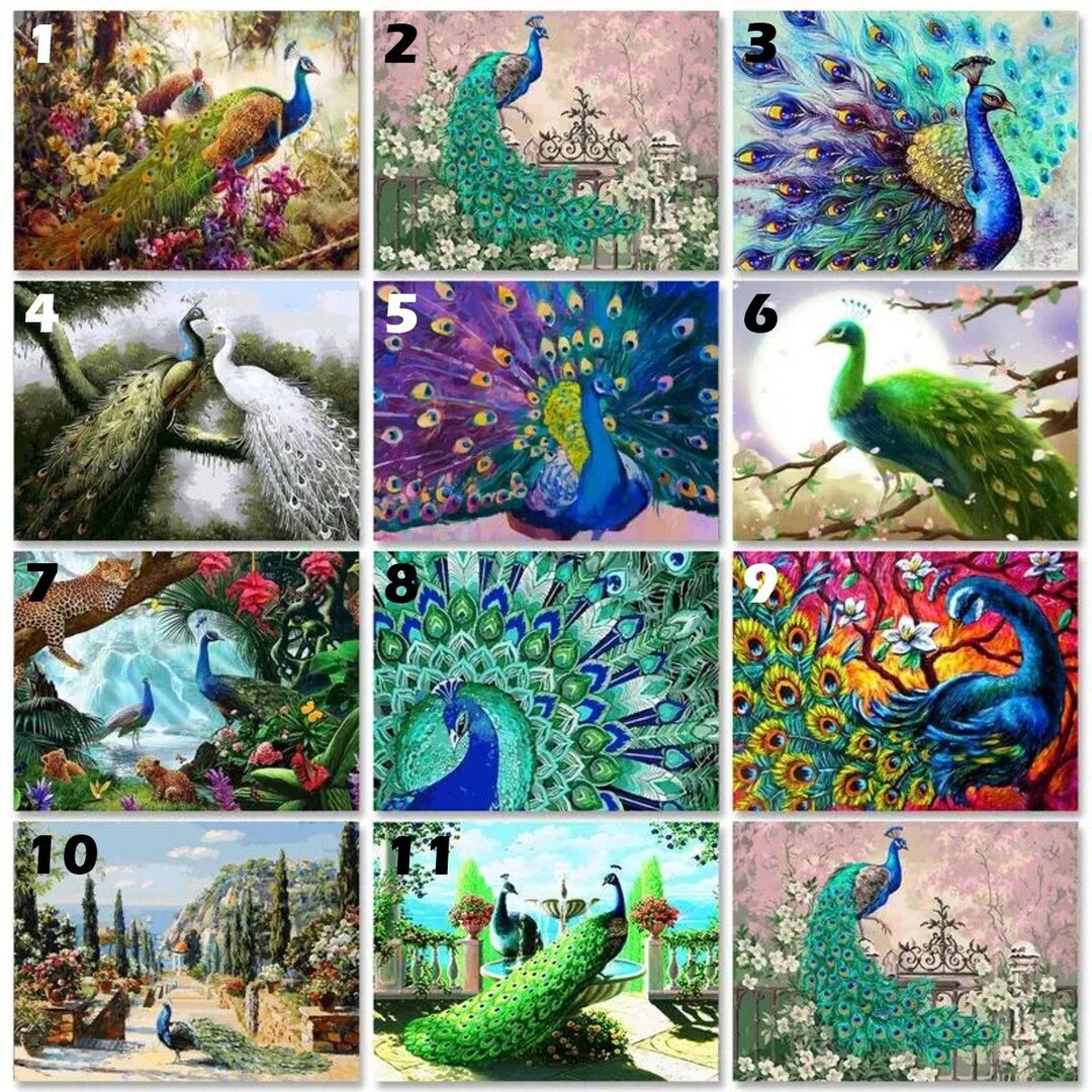 Peacock Paint by Number Kit, DIY Painting Kit, Painting on Canvas ...