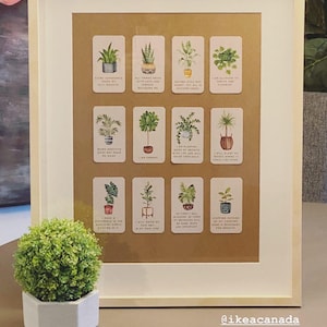 Stocking Stuffer Mini Plant Affirmation Cards Plant Lover Affirmation ...