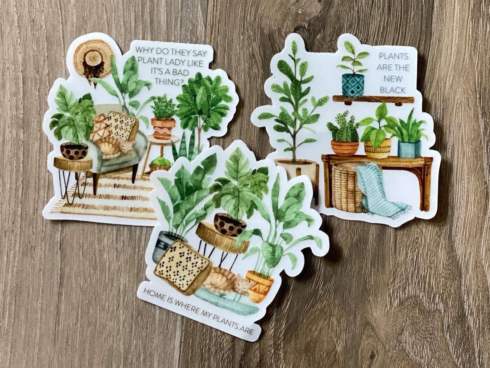 Clear Plant Lady Vinyl Sticker/matte Weatherproof/decal/plant Sticker ...