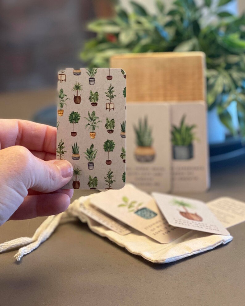 Stocking Stuffer Mini Plant Affirmation Cards Plant Lover | Etsy