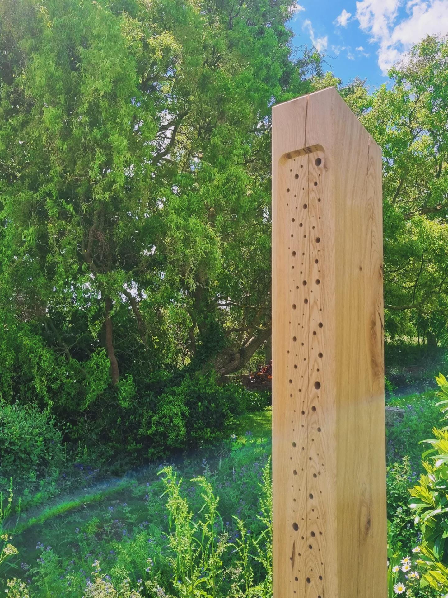 Oak Solitary Bee Post, Bumblebee Habitat, Wildlife Garden Bug Hotel ...