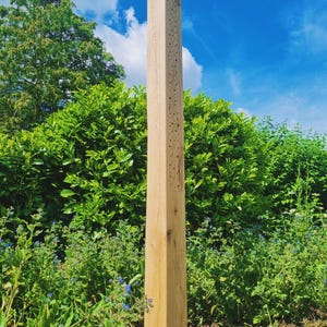 Oak Solitary Bee Post, Bumblebee Habitat, Wildlife Garden Bug Hotel ...