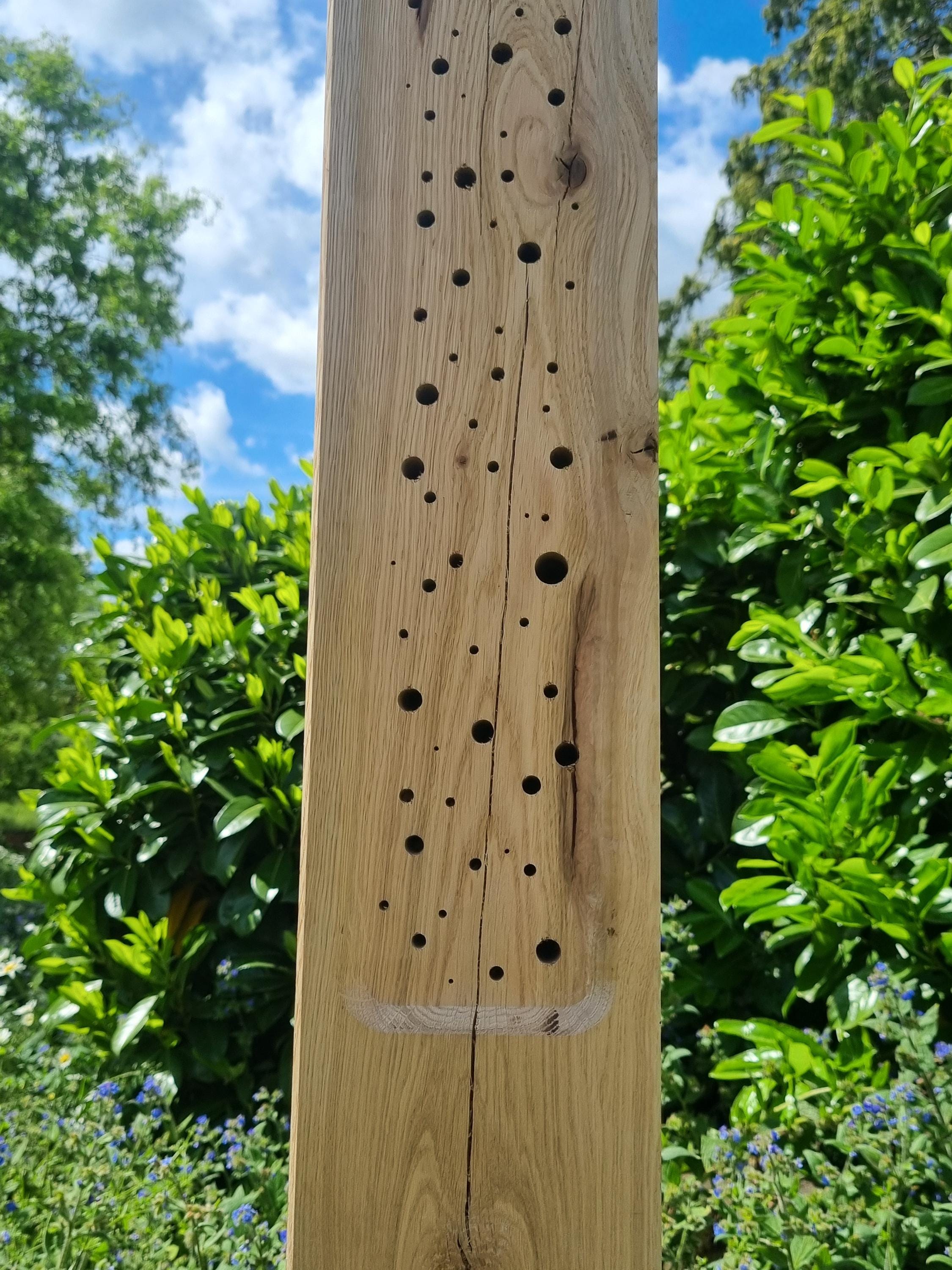 Garden Solitary Bee Post. Bumblebee Habitat. Bug Hotel. Oak Post ...