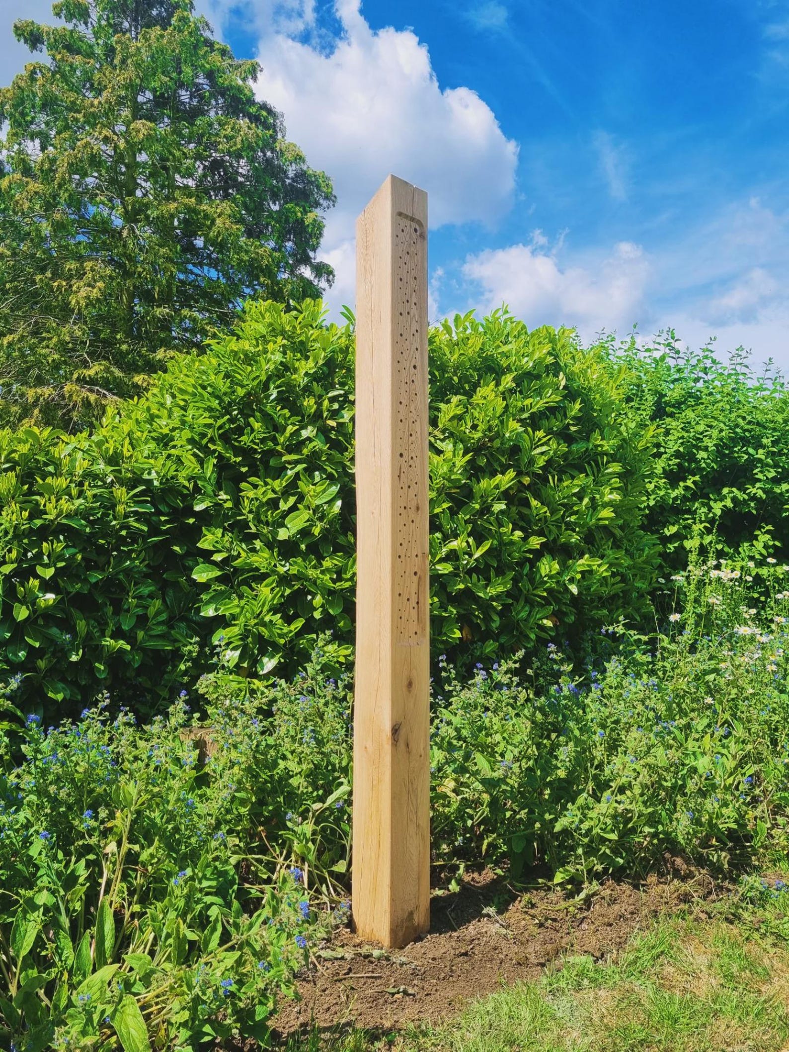 Oak Solitary Bee Post, Bumblebee Habitat, Wildlife Garden Bug Hotel ...