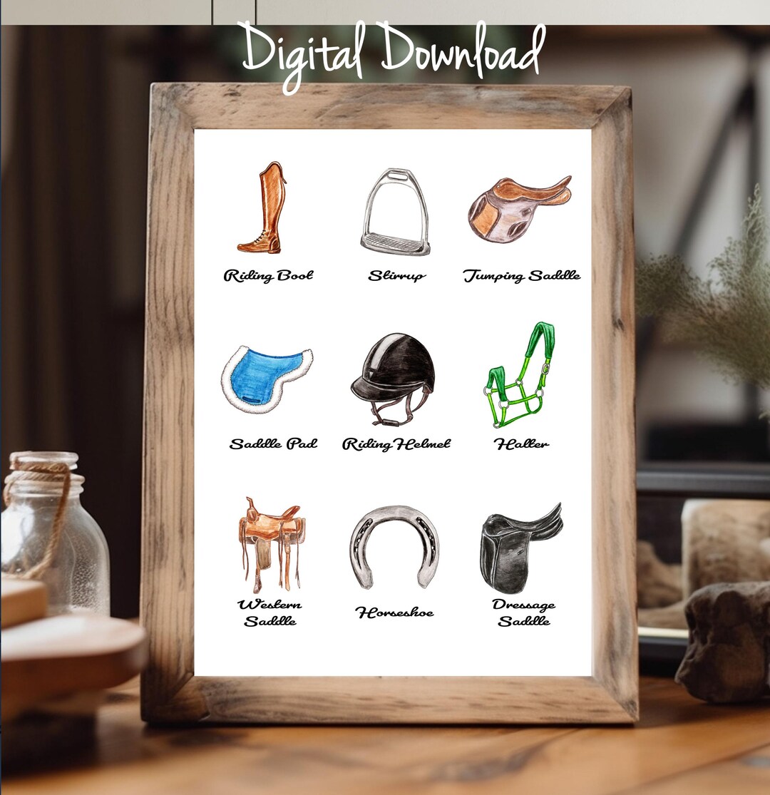 Horse Riding Equipment Illustrated Chart | Digital Download ...