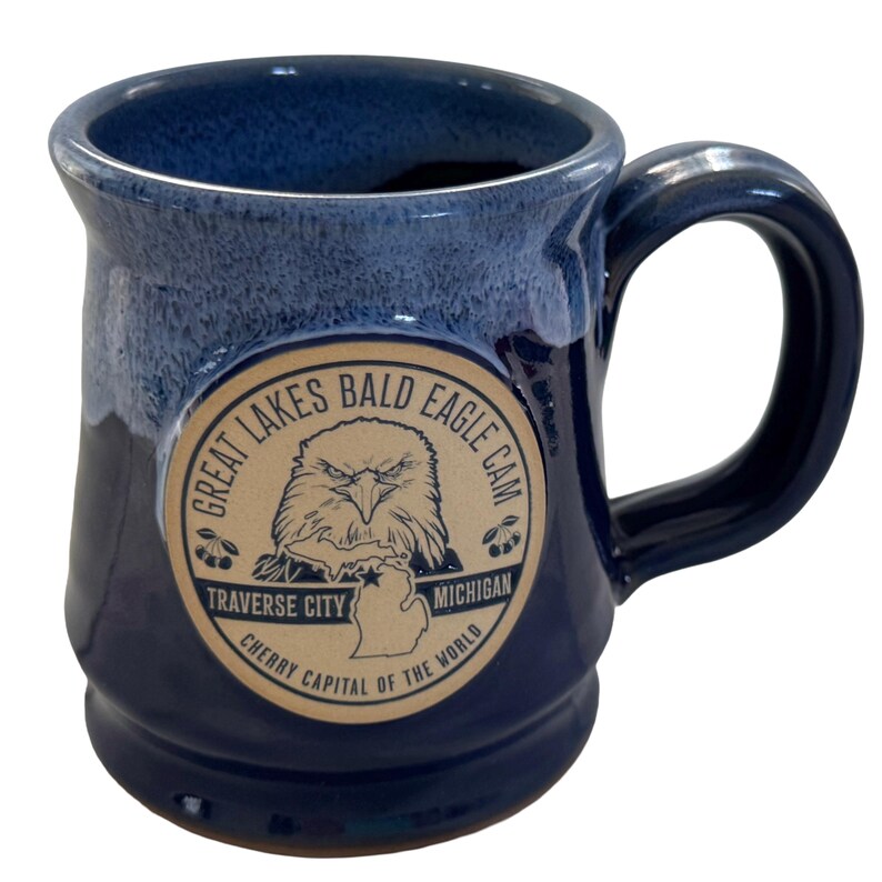 Great Lakes Bald Eagle Cam Coffee Mug - Etsy