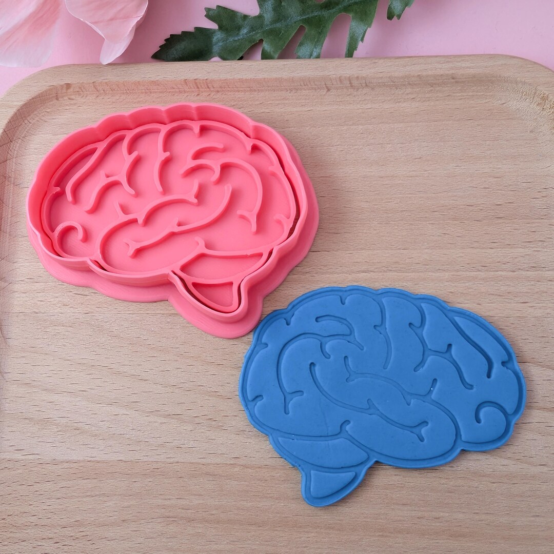 Human Brain Cookie Cutter and Stamp, Biscuit Cutter, Pottery Tool ...