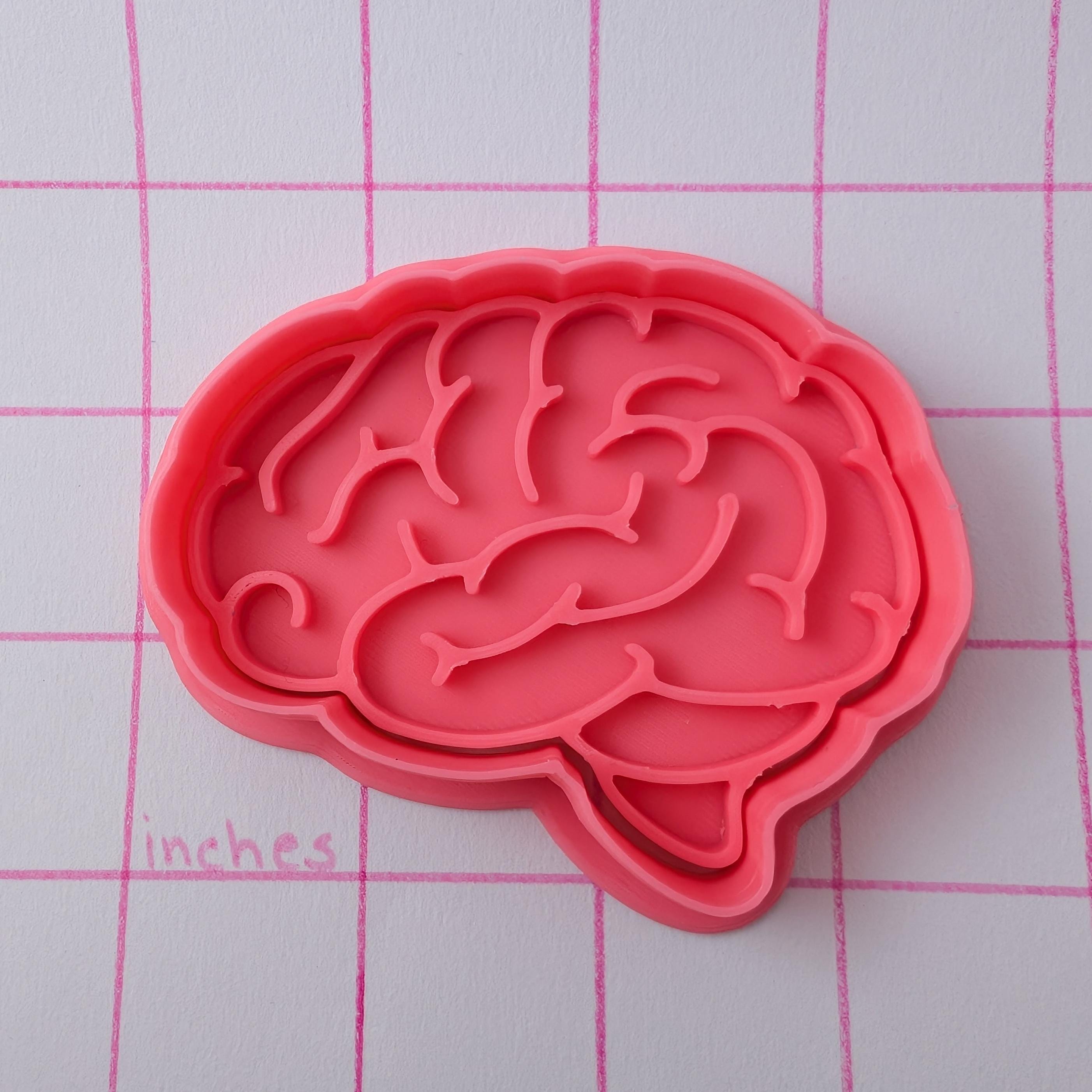Human Brain Cookie Cutter and Stamp, Biscuit Cutter, Pottery Tool ...