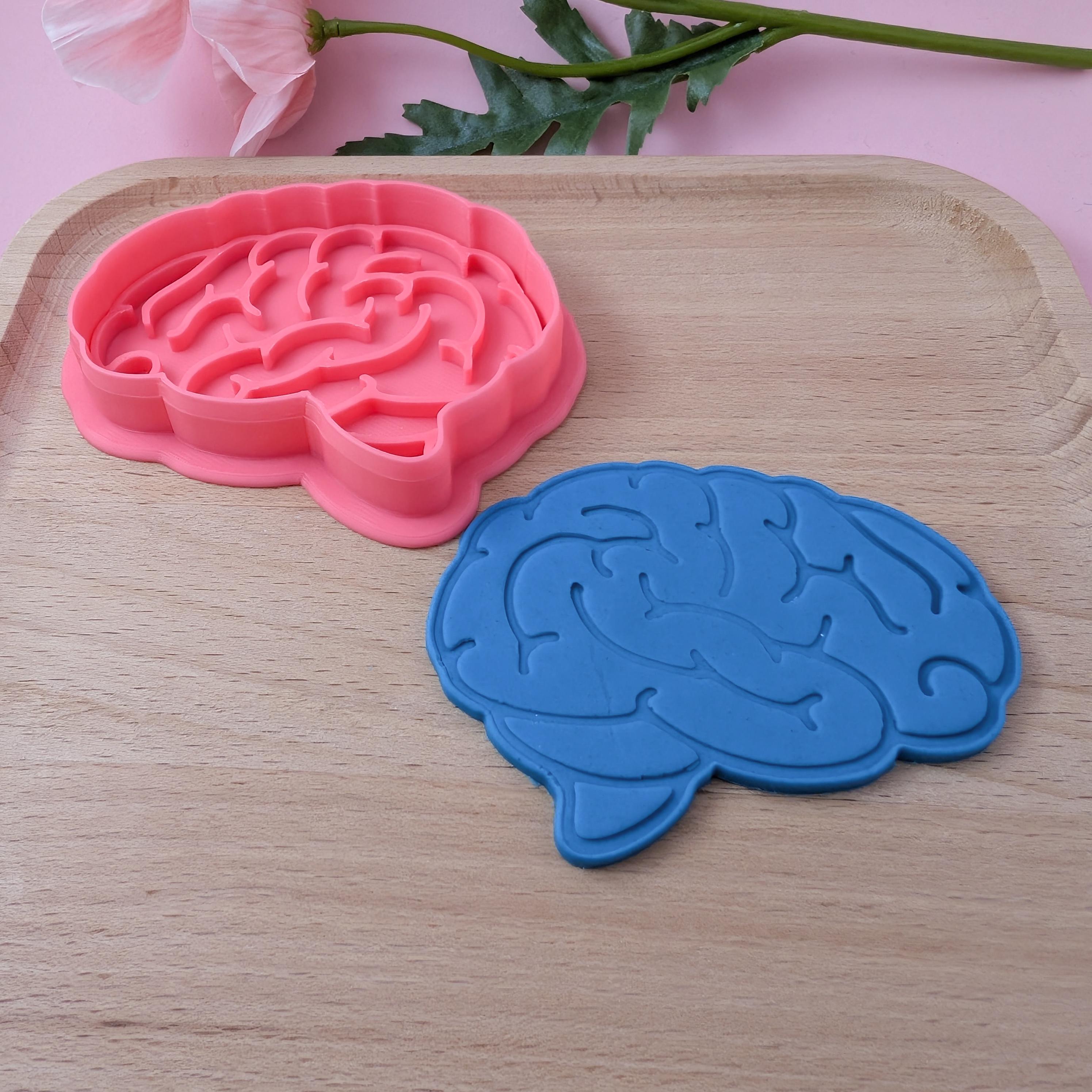 Human Brain Cookie Cutter and Stamp, Biscuit Cutter, Pottery Tool ...