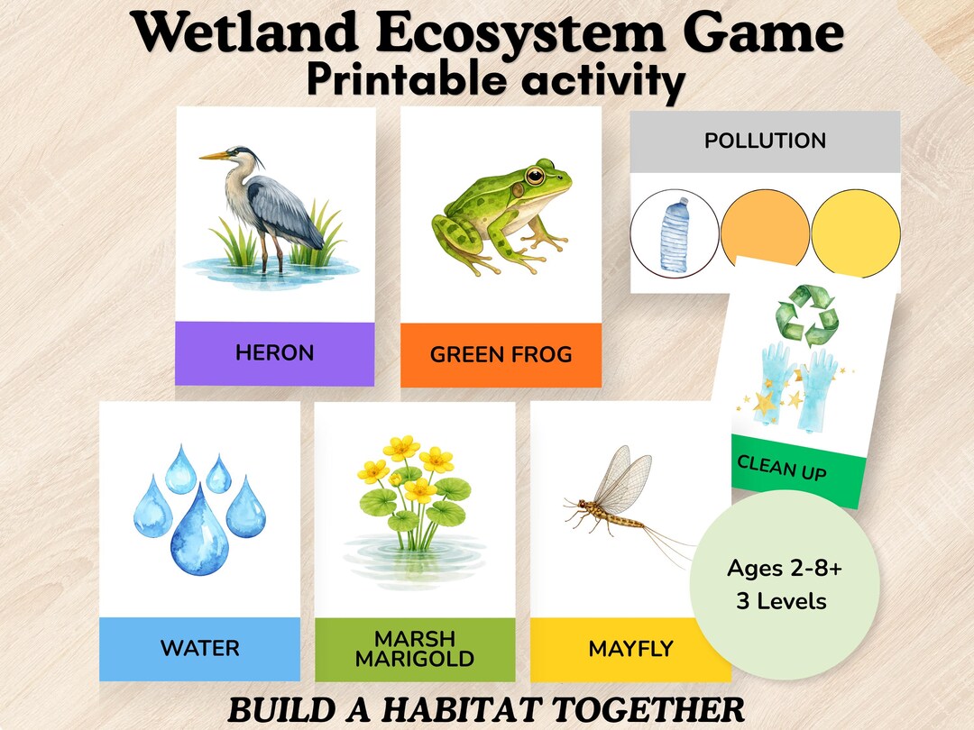 Science Habitat Activity: Wetland Ecosystem Habitat Building Game for ...