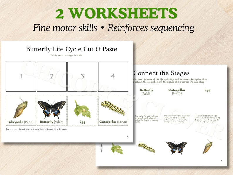 Butterfly Life Cycle Activities Printable | Montessori Science Pack for ...