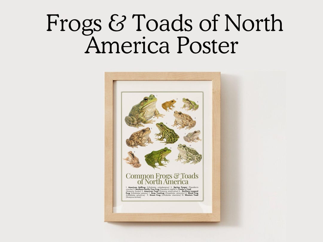 Frogs & Toads of North America Poster | Amphibian Species Chart | Kids ...