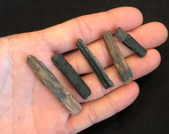 Fossil stingray barb | Etsy