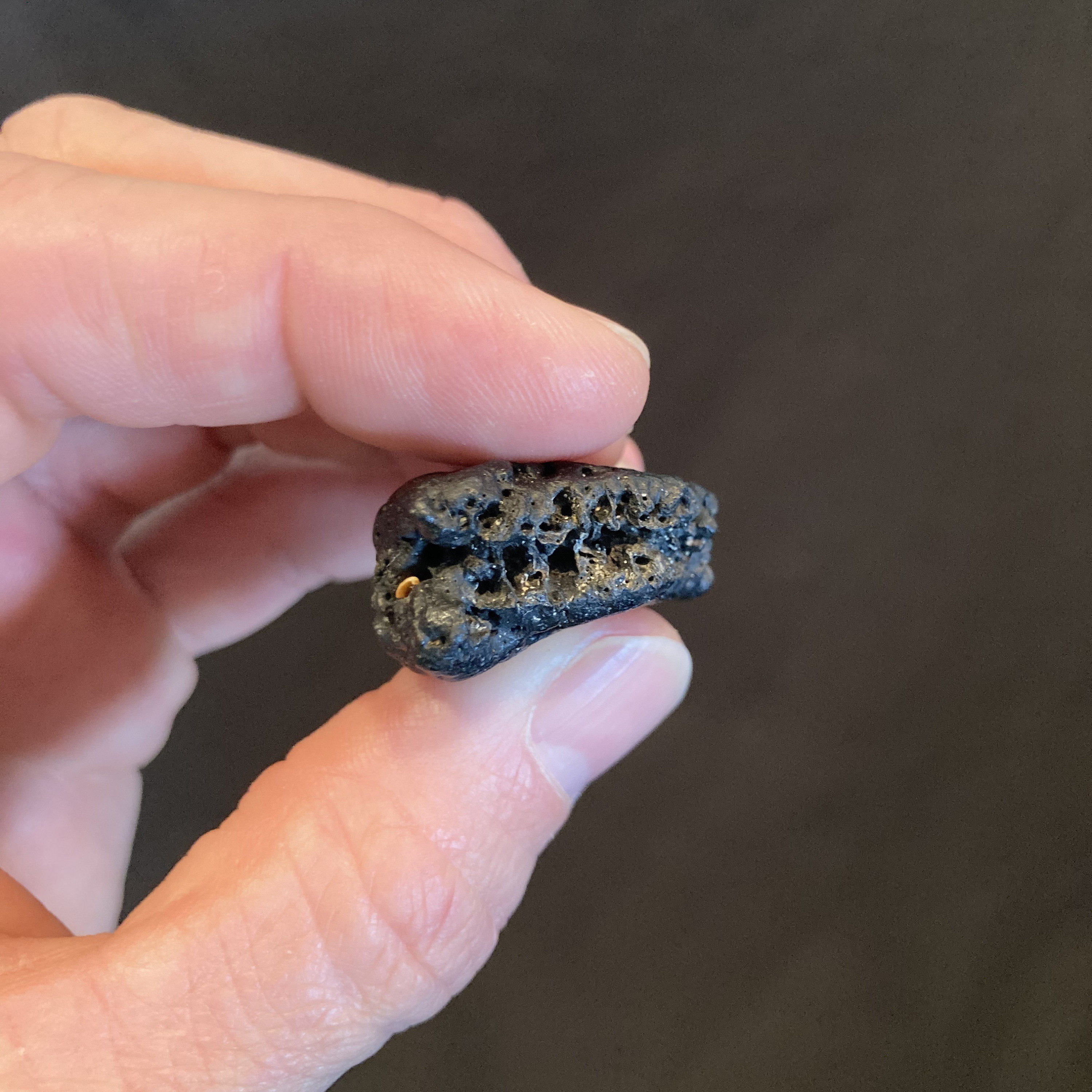 Fossil Glyptodont Dermal Edge Scute | Osteoderm (bony Shell Fragment ...