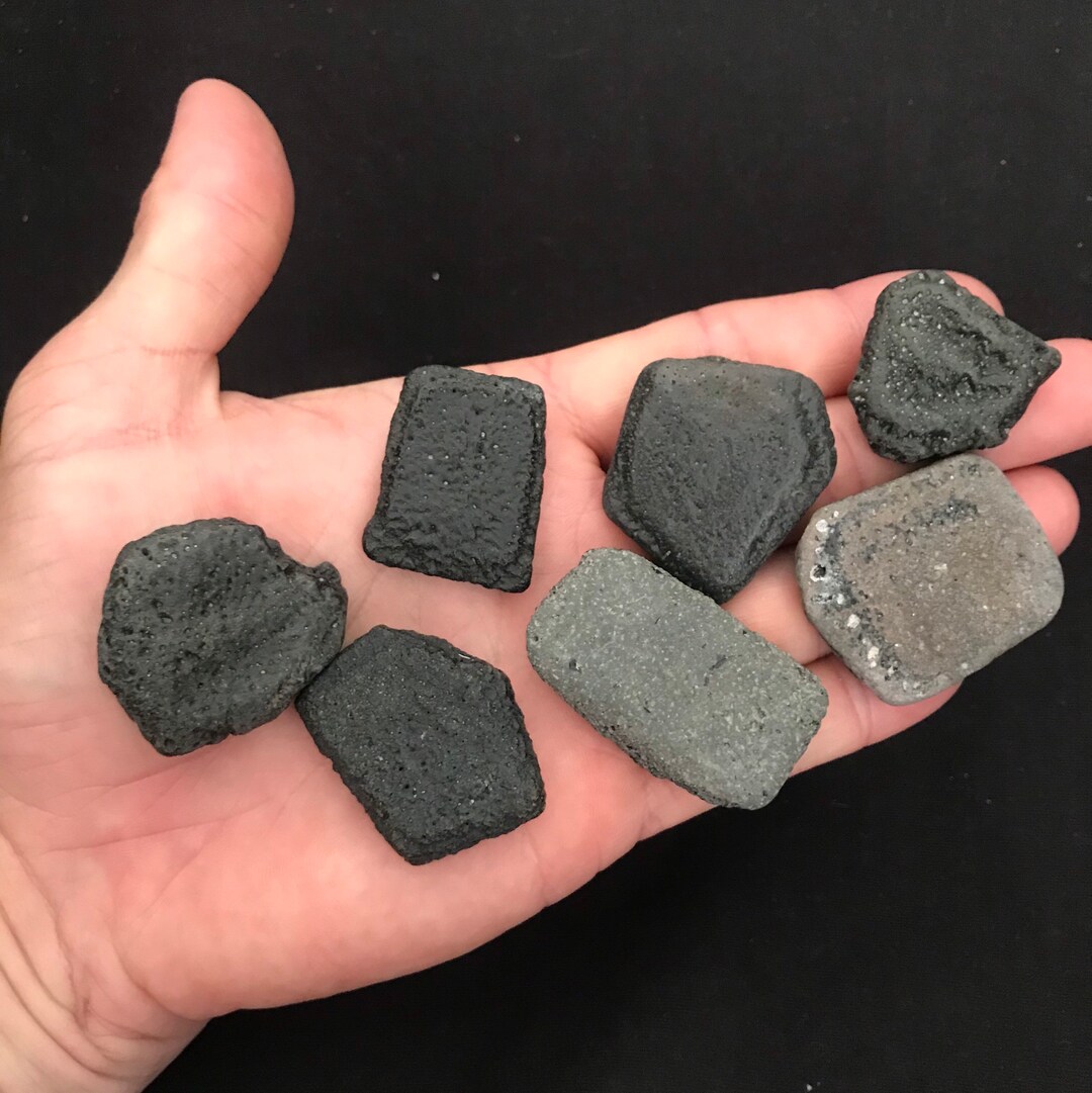 7 Fossil Extinct Giant Armadillo Beach Tumbled Osteoderms | Dermal ...