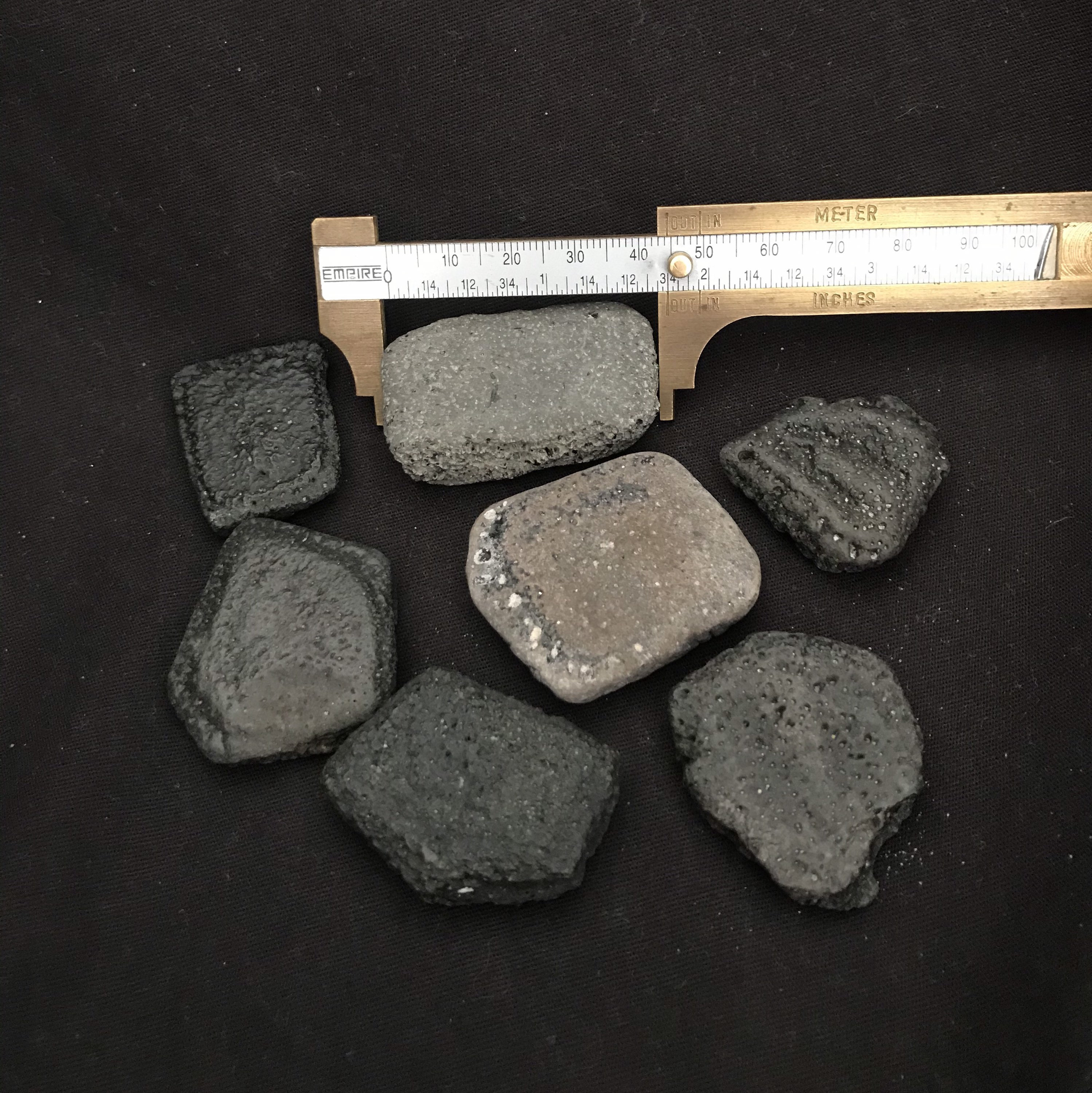 7 Fossil Extinct Giant Armadillo Beach Tumbled Osteoderms | Dermal ...