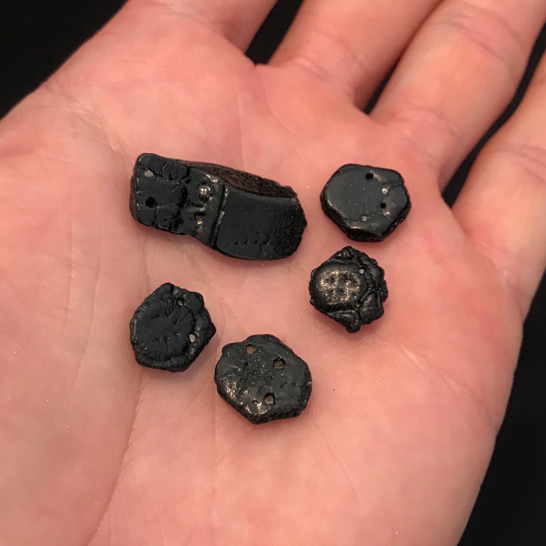 5 Fossil Armadillo Dermal Scutes | Osteoderms | Shell Fragments ...