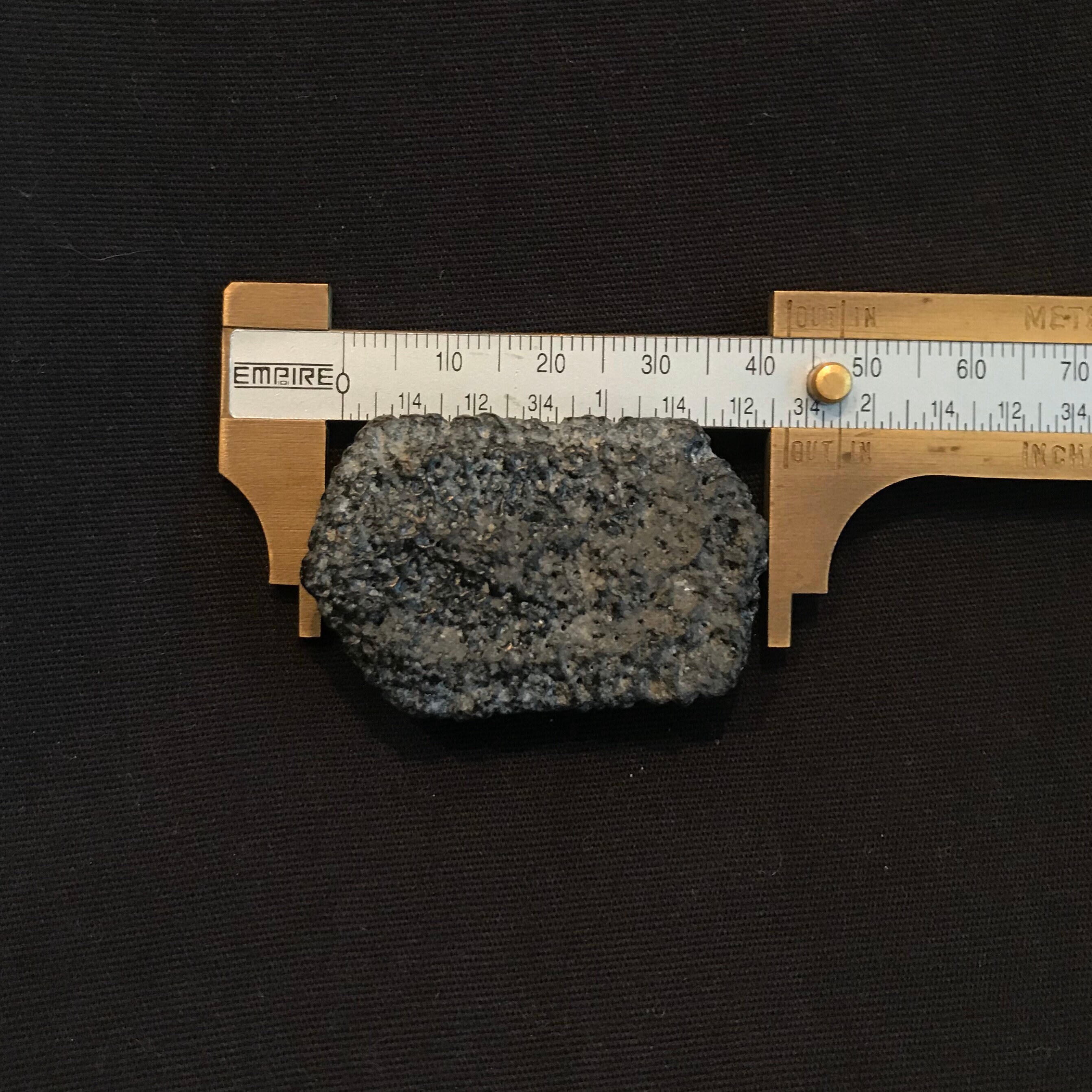 Fossil Extinct Giant Armadillo Dermal Scute | Osteoderm | Shell ...